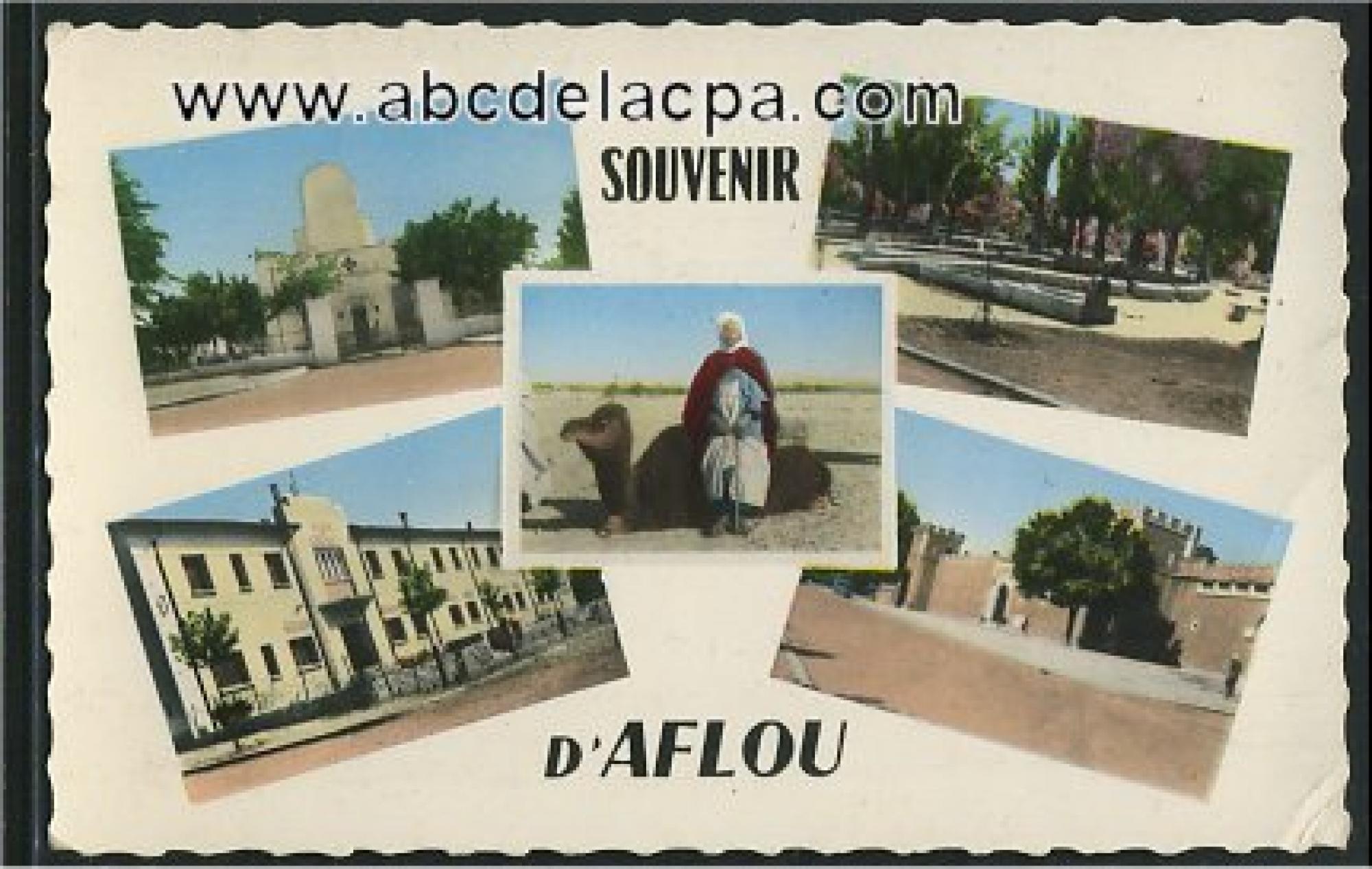 Aflou Souvenir dAflou | vitaminedz.com