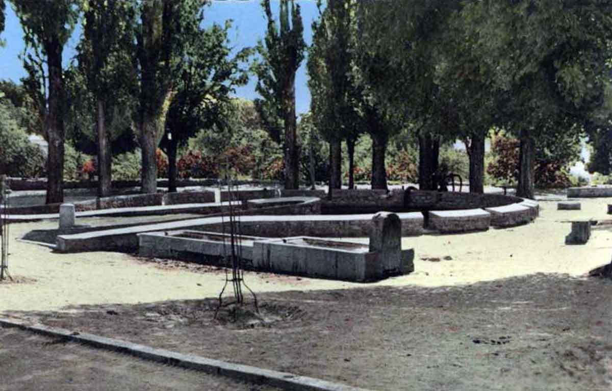 Aflou jardin ALGERIE | vitaminedz.com