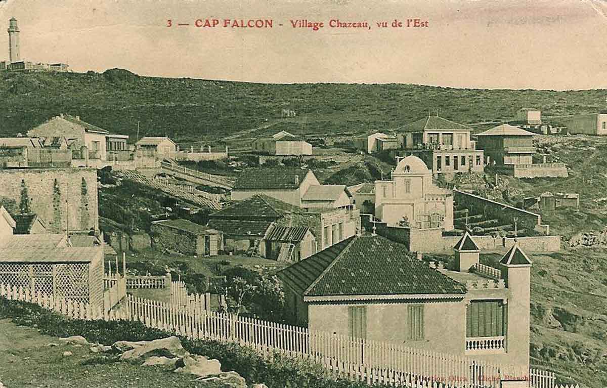 Cap falcon ALGERIE | Vitaminedz