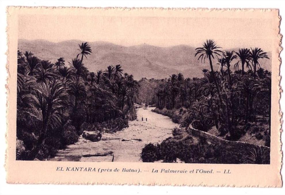 CPA Dentellée - EL KANTARA BATNA Algérie - La Palmeraie et | Vitaminedz