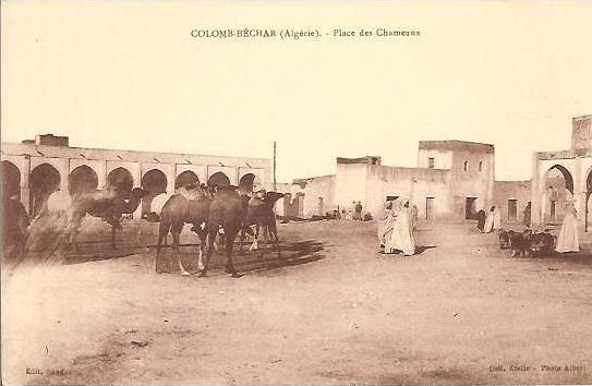 Algérie COLOMB-BECHAR Place des Chameaux ALGERIE - PHOTOGRAPHIE Photos ...