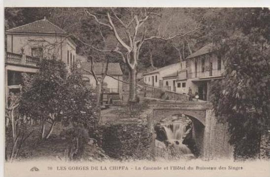 90 BLIDA LES GORGES DE LA CHIFFA HOTEL DU RUISSEAU | vitaminedz.com