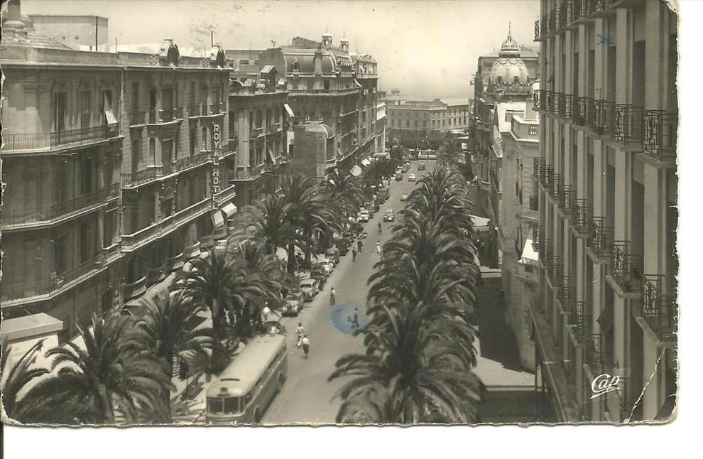 ORAN.... le boulevard Gallieni....14 x 9 ALGERIE | Vitaminedz