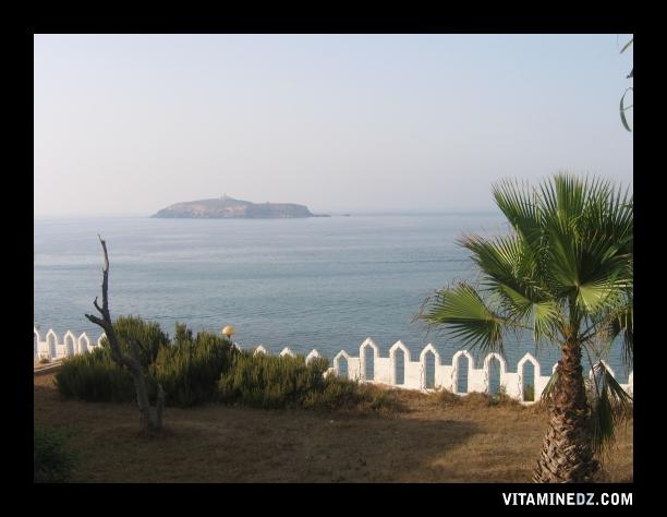 syphax - JungleKey.fr Image