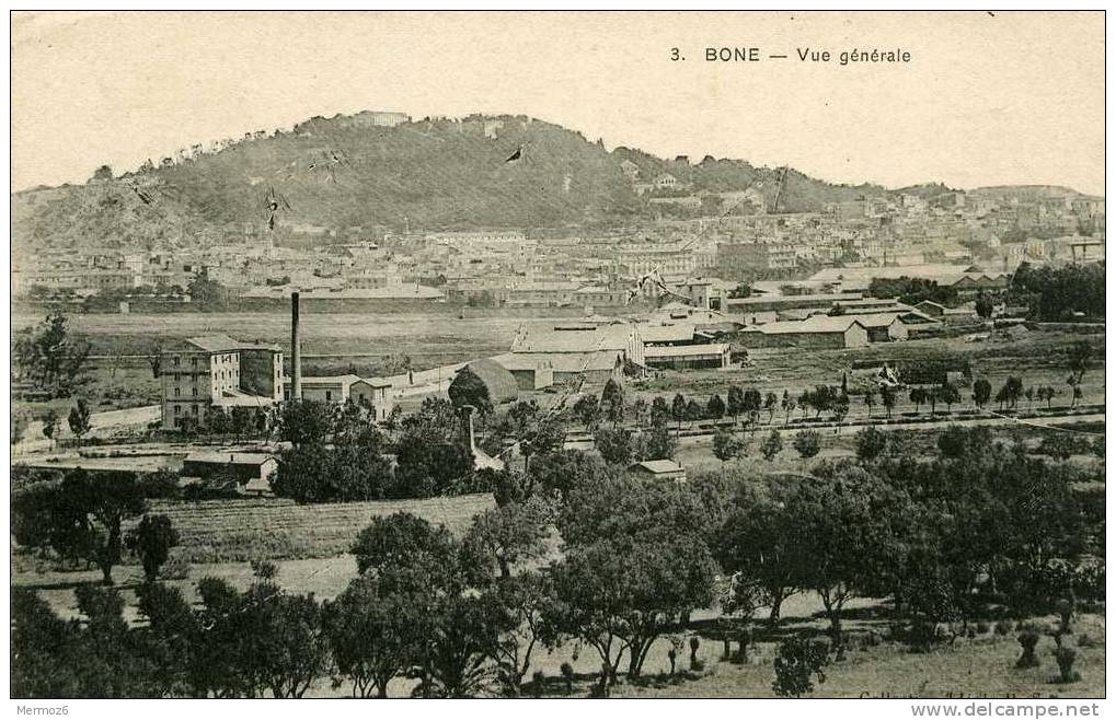 bone vue generale 3 collection ideale PS annaba ALGERIE | vitaminedz