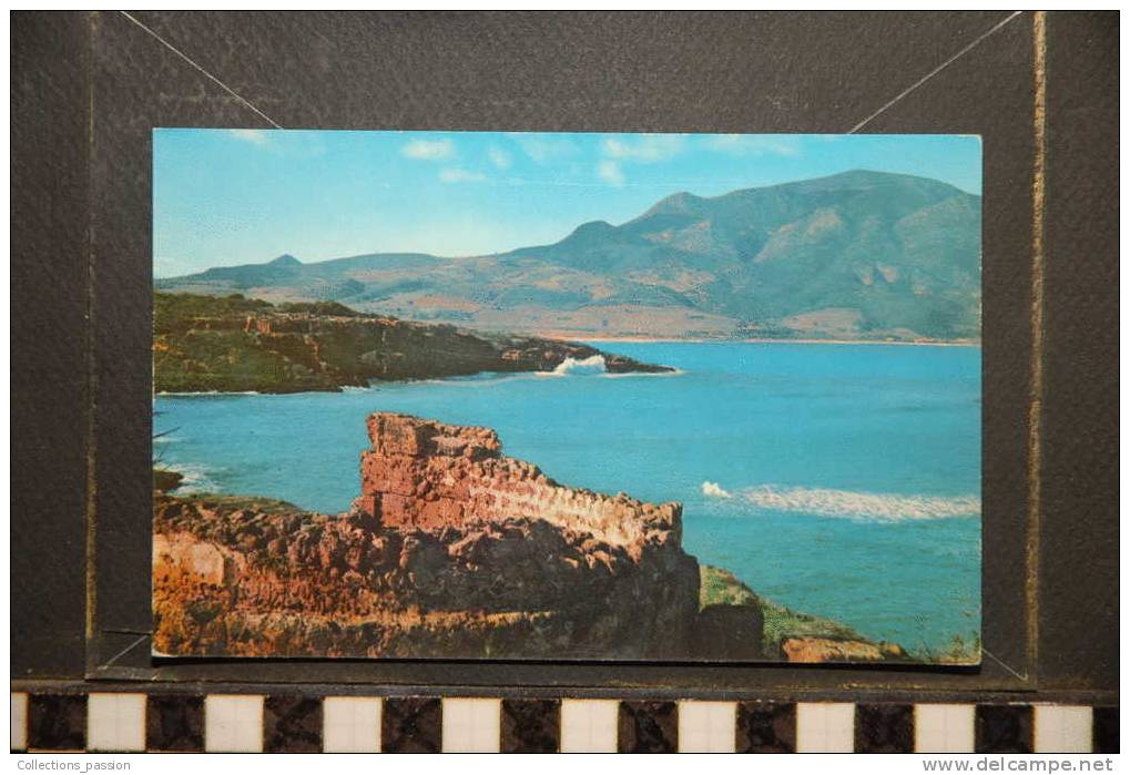 ALGERIE TIPAZA AU FOND LE MONT CHENOUA | vitaminedz.com