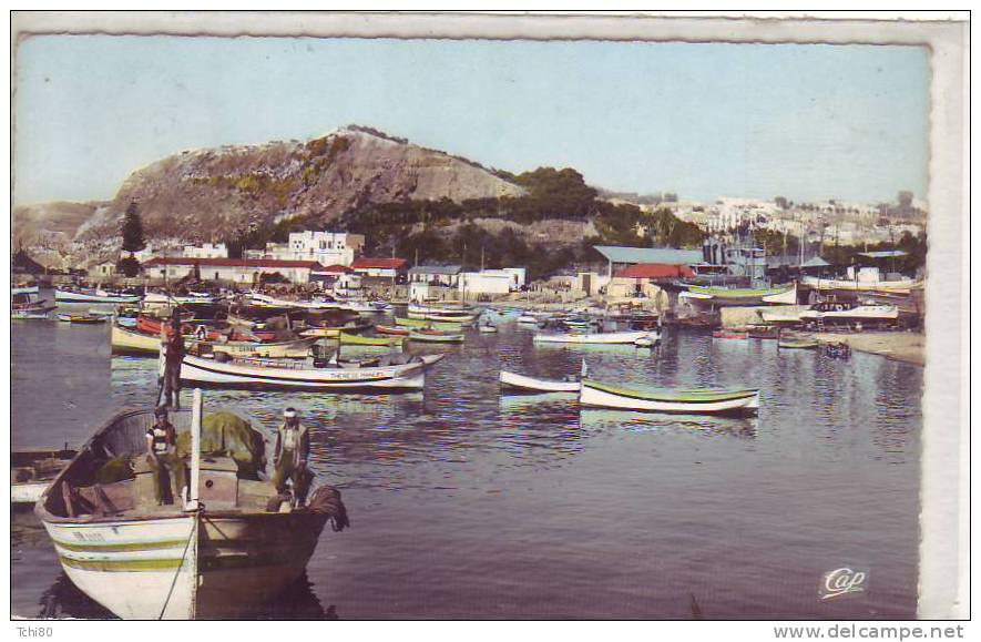 BENI-SAF_1515_Port ALGERIE | Vitaminedz