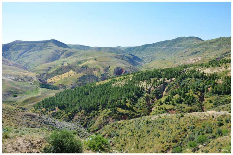 les chaines montagneuses de Béni Chougrane | vitaminedz