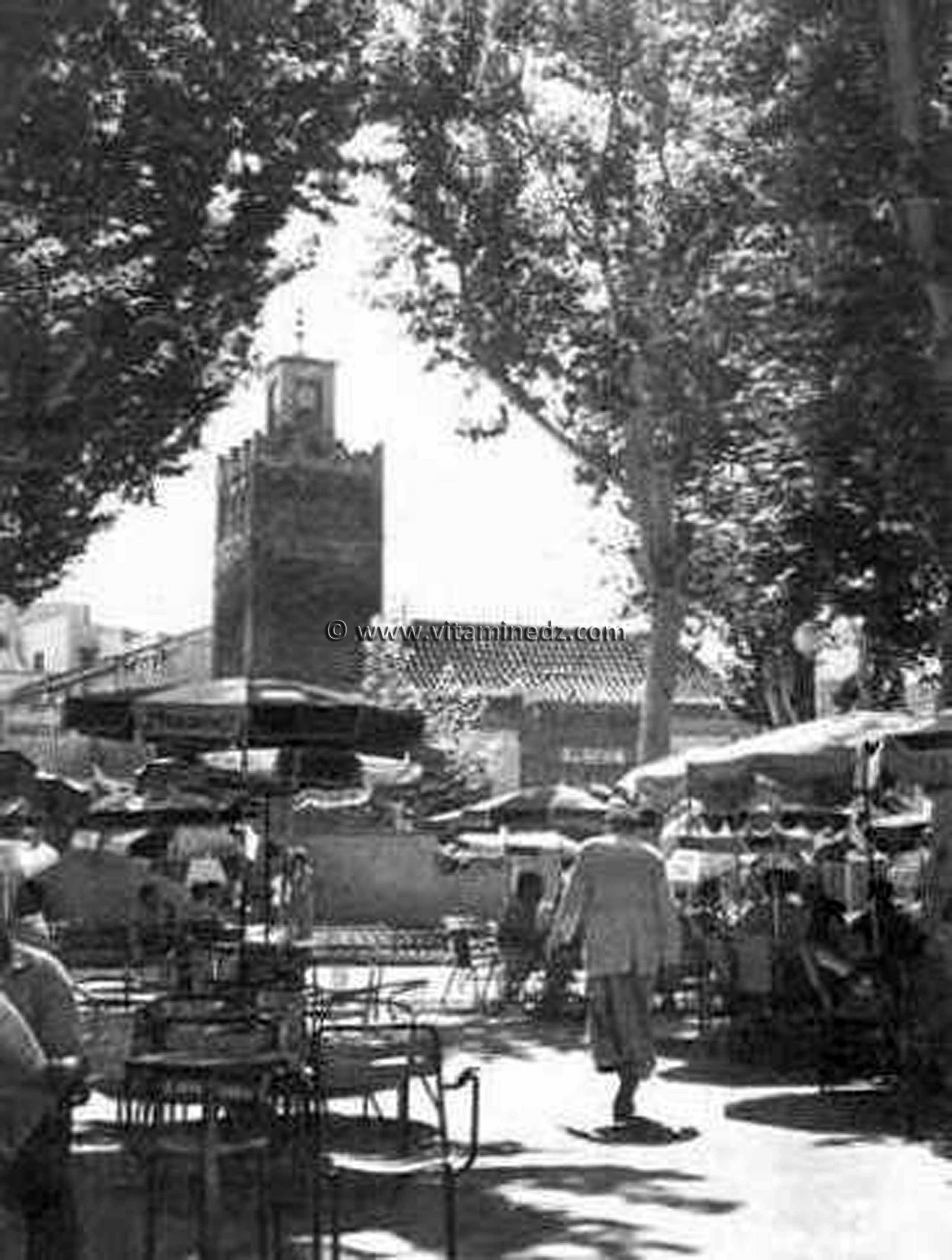 Tlemcen Photo Ancienne Place D Alger ALGERIE Vitaminedz Tlemcen Photo Ancienne Place D Alger ALGERIE Vitaminedz