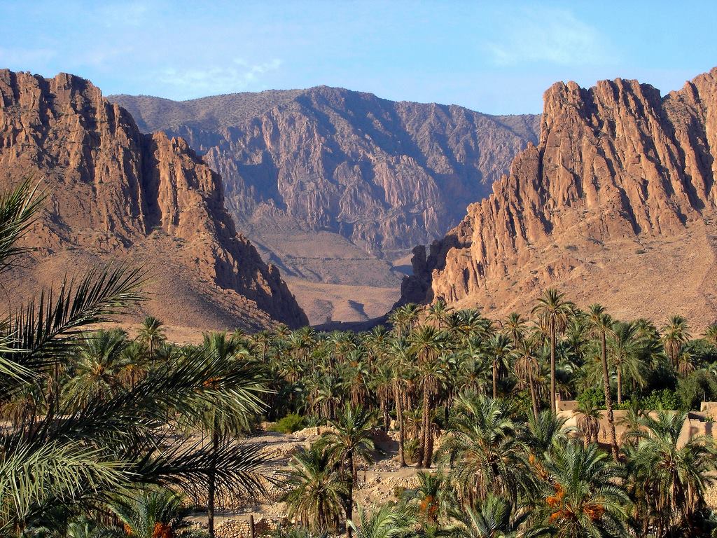 Biskra : El Kantara.