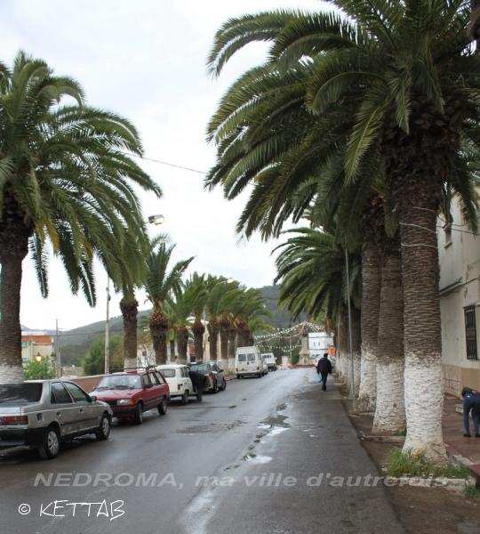 Tlemcen-Nedroma | vitaminedz