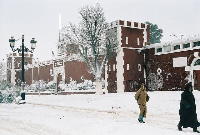 Aflou - JungleKey.fr Image #250