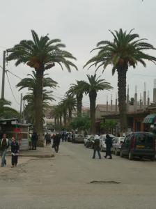 Photos Meftah Algérie