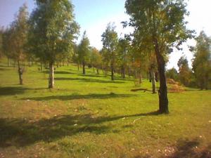 Photos Oued Zenati Algérie | Vitaminedz