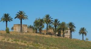 Photos Damous Tipaza | vitaminedz